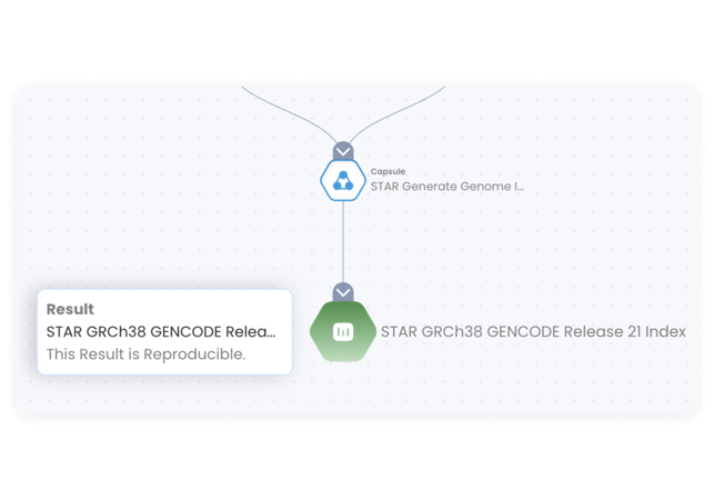 Lineage Graph | Code Ocean